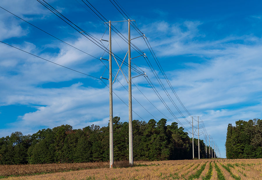 South Carolina Power Lines